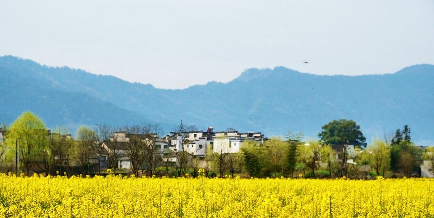 Top 8 Ancient Villages in Huangshan