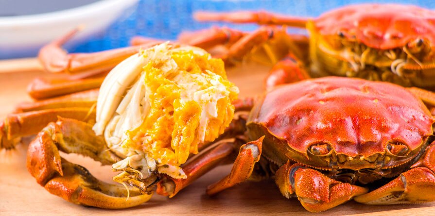 Shanghai Food: Noodles, Restaurants, dumplings...