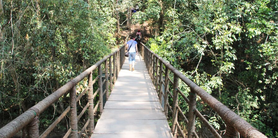 Xishuangbanna Wild Elephant Valley Nature Reserve
