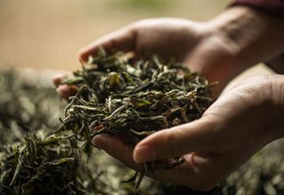 How to Process Chinese Green Tea
