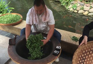 How to Process Chinese Green Tea