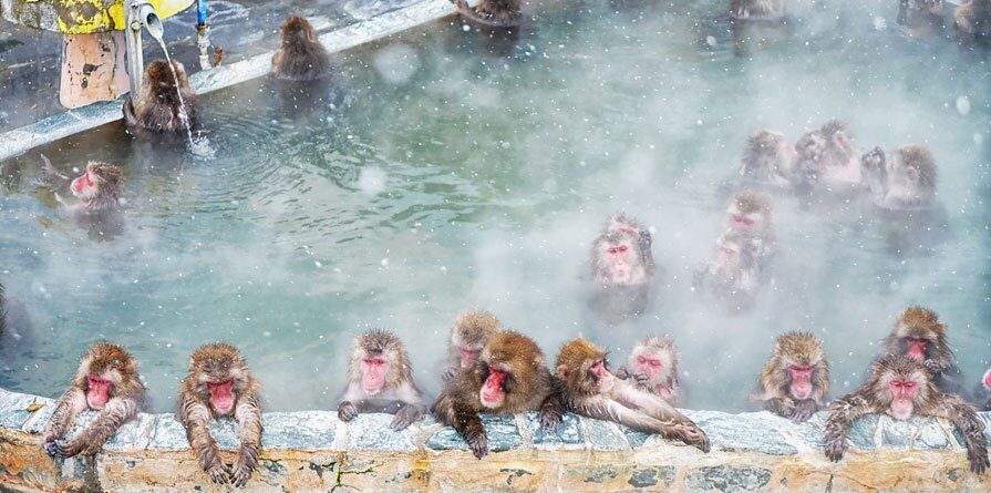 Top 7 Hot Springs Resorts in China, Hot Springs Near Beijing, Shanghai