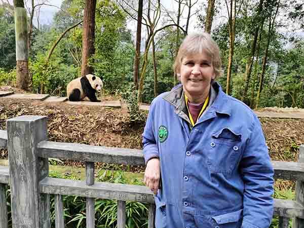 China Panda Tour: Be a Panda Keeper at Chengdu Breeding Base