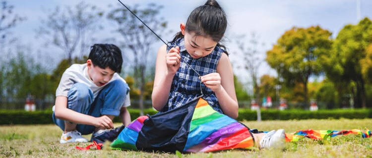Chinese Kite - Complete Introduction to Its History and Culture