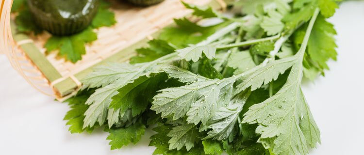 Dragon Boat Festival 2021: History, Customs, Food