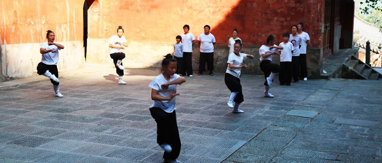 Chinese Kung Fu, Martial Arts
