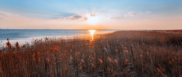 Chongming Island - A Great Shanghai Gateway